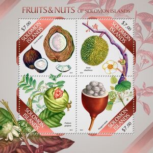 Stamp: Fruits and Nuts of Solomon Islands (Solomon Islands) (Fruits and ...