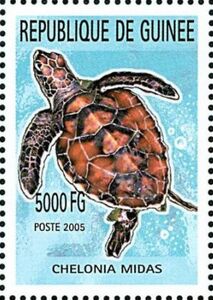 Stamp: Green Sea Turtle (Chelonia midas) (Guinea(Prehistoric and Recent ...