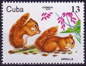 Stamp: Eurasian Red Squirrel (Sciurus vulgaris) (Cuba(Zoo Animals) Mi ...