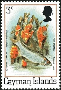 Stamp: Atlantic Tarpon (Tarpon atlanticus), Fire Sponge (Tedania ig ...