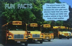 Postcard: Fun Facts - Buses (United States of America(- Fun Facts) Col ...