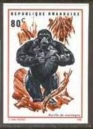Stamp: Gorilla beating chest (Gorilla beringei) (Rwanda) (Gorillas of ...