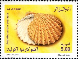Stamp: Spiny Cockle (Acanthocardia aculeata) (Algeria(Shells (2002)) Mi ...