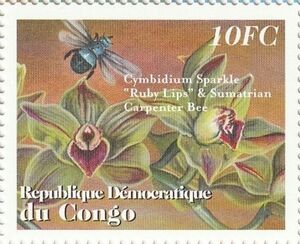 Stamp: Cymbidium Sparkle "Ruby Libs" & Sumatrian Carpenter Bee (Congo ...