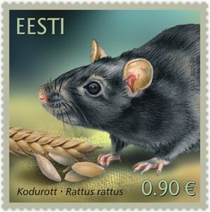 Stamp: Black Rat (Rattus rattus) (Estonia(Estonian Fauna) Mi:EE 997,Sn ...
