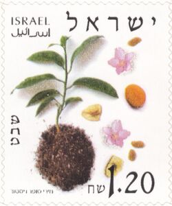 Stamp: Shevat (Israel(Months of the Year) Mi:IL 1665,Sn:IL 1470e,Yt:IL ...