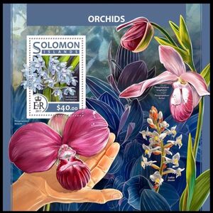 Stamp: Cleisocentron merrillianum (Solomon Islands(Orchids (2017)) Mi ...