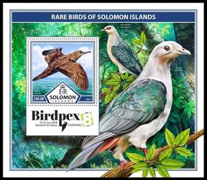 Stamp: Heinroth's Shearwater (Puffinus heinrothi) (Solomon Islands(Rare ...