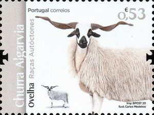 Stamp: Algarve Churro Sheep (Portugal(Portuguese Autochthonous Breeds ...
