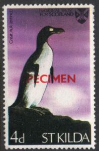 Stamp: Great Auk (extinct) - Specimen (Scotland, St. Kilda: Cinderella ...
