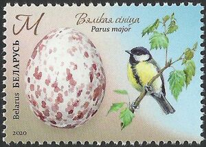 Stamp: Great Tit (Parus major) (Belarus(Eggs of Birds (2020)) Mi:BY ...