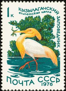 Stamp: Cattle Egret (Bubulcus ibis) (Soviet Union, USSR(Nature Reserves ...
