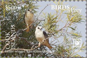 Stamp: Letter-winged Kite (Elanus scriptus) (Cook Islands(Birds of Prey ...
