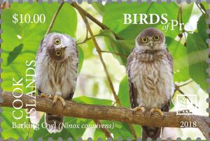 Stamp: Barking Owl (Ninox connivens) (Cook Islands(Birds of Prey (2018 ...