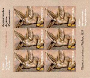 Stamp: Grey Long-Eared Bat (Plecotus austriacus) (Kyrgyzstan(Fauna of ...