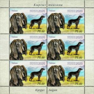 Stamp: Taigan (Kyrgyzstan(Dog Breeds of Kyrgyzstan (2020)) Mi:KG ...
