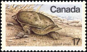 Stamp: Eastern Spiny Softshell Turtle (Trionyx spinifera) (Canada ...
