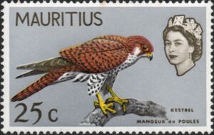 Stamp: Mauritius Kestrel (Falco punctatus) (Mauritius(Bird definitives ...