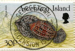 Stamp: Harpa doris (Ascension Island(Molluscs) Mi:AC 681,Sn:AC 630,Sg ...