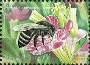 Stamp: Black Dwarf Honey Bee (Apis andreniformis) (Thailand) (Bees) Mi ...