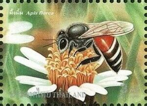 Stamp: Little Honeybee (Apis florea) (Thailand) (Bees) Mi:TH 2001
