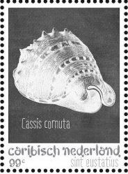 Stamp: Horned Helmet (Cassis cornuta) (Saint Eustatius(Seashells) Mi:BQ-STE 45,Sn:BQ-STE 96c,Yt ...