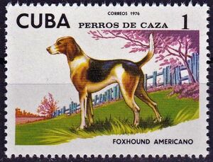 Stamp: American Foxhound (Canis lupus familiaris) (Cuba(Hunting Dogs ...