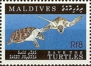 Stamp: Two turtles (Maldives(Turtle Preservation (1996)) Sn:MV 2196Ad