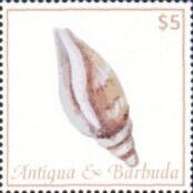 Stamp: Seashells (Antigua and Barbuda(Seashells (2020)) Mi:AG 5829,Sn ...
