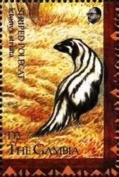 Stamp: Striped polecat (Ictonyx striatus) (Gambia(Animals of West ...