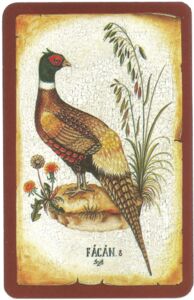 Pocket Calendar: Pheasant (Hungary(Birds) Col:HU-1999-Bird-001