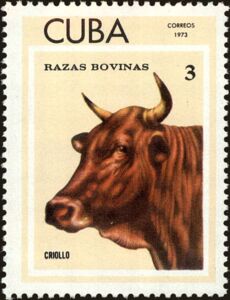 Stamp: Criollo (Bos primigenius taurus) (Cuba(Breeds of cattle) Mi:CU ...