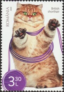 Stamp: Red British Shorthair Cat (Romania(Cats (2020)) Mi:RO 7666A,Sn ...