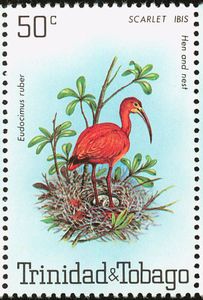 Stamp: Female Scarlet Ibis (Eudocimus ruber) and Nest (Trinidad and ...