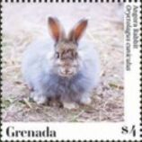 Stamp: European rabbit (Oryctolagus cuniculus) (Grenada(Rabbits (2019 ...