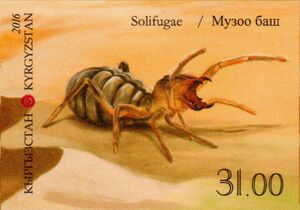 Stamp: Camel Spider (Solifugae) (Kyrgyzstan(Fauna of Kyrgyzstan ...