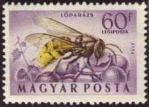 Stamp: European Hornet (Vespa crabro) (Hungary(Insects) PHu:HU 1417XIIIB
