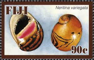 Stamp: Batik Nerite (Neritina variegata) (Fiji(Freshwater Snails) Mi:FJ ...