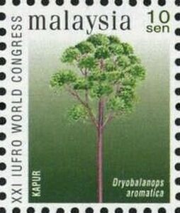 Stamp: Dryobalanops aromatica (Malaysia(Union of Forestry Research) Mi ...