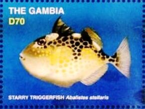 Stamp: Starry Triggerfish (Abalistes stellaris) (Gambia(Atlantic Ocean ...