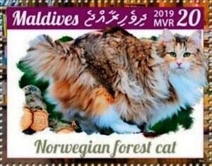 Stamp: Norwegian forest cat (Maldives(Cats (2019)) Mi:MV 8629,Yt:MV 7092