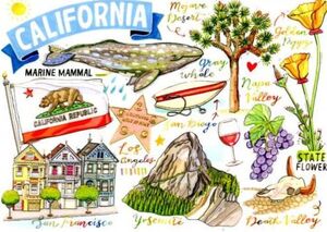 Postcard: California State Symbols (United States of America(- State ...