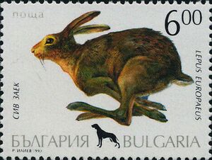 Stamp: European Hare (Lepus europaeus) (Bulgaria(Hunting (1993)) Mi:BG ...