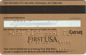 Bank Card: First Usa Bank Visa Gold Eagle (First USA Bank, United ...