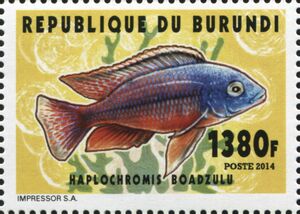 Stamp: Haplochromis boadzulu (Burundi(Fish from Lake Tanganyika) Mi:BI ...