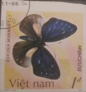Stamp: Blue Spotted Crow (Euploea midamus) (Vietnam(Butterflies (1987 ...
