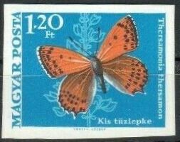 Stamp: Lesser Fiery Copper (Thersamonia thersamon) (Hungary(Butterflies ...