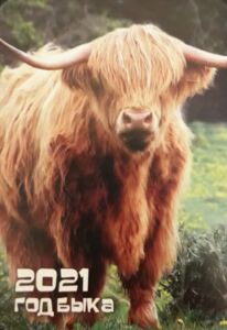 Pocket Calendar: Bull (Russia(Symbol of the Year) Col:RUS-2021-Bull-005 ...