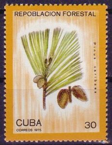 Stamp: Pinus caribaea (Cuba(Afforestation) Mi:CU 2069,Sn:CU 1994,Yt:CU ...