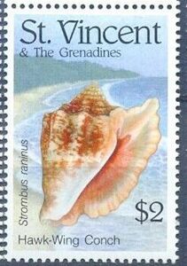 Stamp: Hawk-Wing Conch (Strombus raninus) (Saint Vincent and The ...